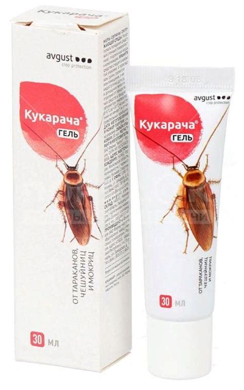 Золотая сотка алтая
