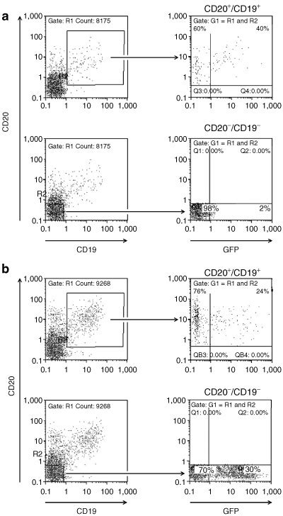Selective Transduction Of Primary Human B Cells In Mixed Lymphocytes