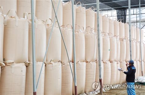 양곡법 개정안 다시 국회로쌀값 영향 논의 도돌이표