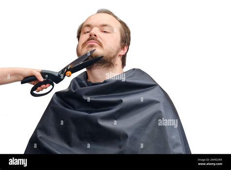 Wife Cuts Her Husbands Beard With Large Garden Scissors Copy Space