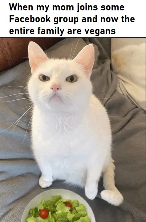 The Utter Audacity Of This Woman Rmemes