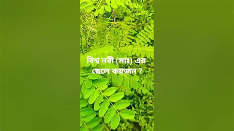 বিশ্ব নবী সাঃ এর ছেলে কয়জন Youtube