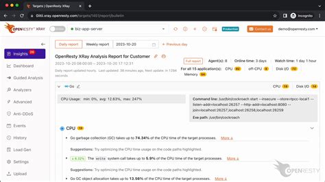 Dynamic Tracing Custom Go Programs With Custom Ylang Analyzers Using Openresty Xray