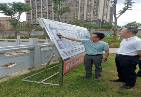 副区长贾中强实地察看污水全收集全处理 项目推进情况澎湃号·政务澎湃新闻 The Paper