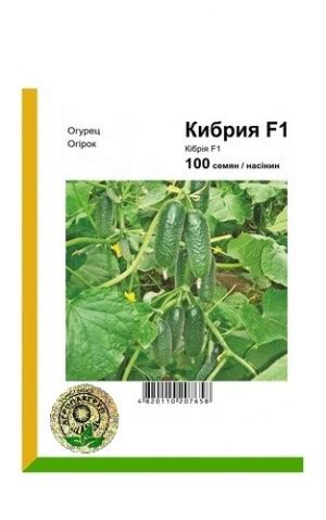 Огурец Кибрия F1 100 Шт Агропак (Rijk Zwaan, Голландия) — Купить ...