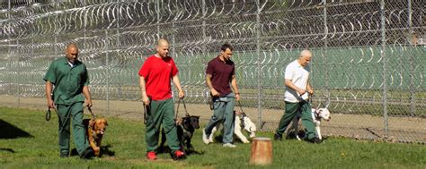Incarcerated Veterans Program New York State Department Of Veterans