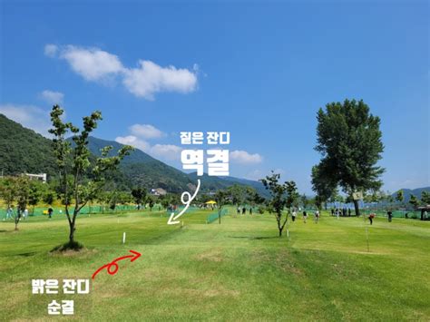파크골프 퍼팅 고수되기 그린 라이잔디 읽는 세가지 방법 잔디결 잔디길이 그린기울기 파크골프 레슨 네이버 블로그