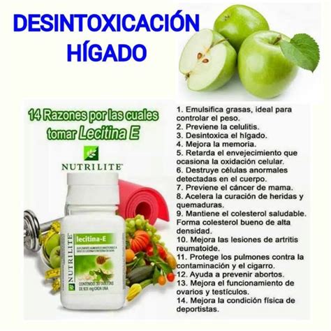 Arriba 104 Foto Como Desintoxicar El Cuerpo Naturalmente En Un Dia El