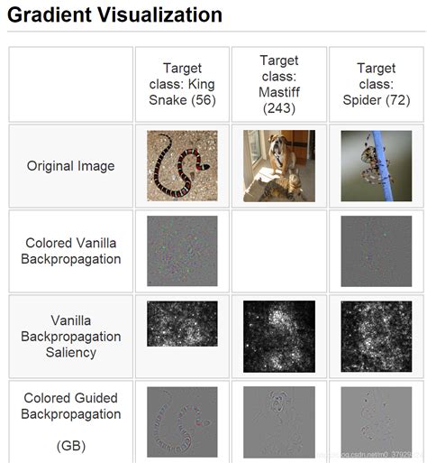 Cnn Visualization 卷积神经网络训练可视化cnn Visualization Csdn博客