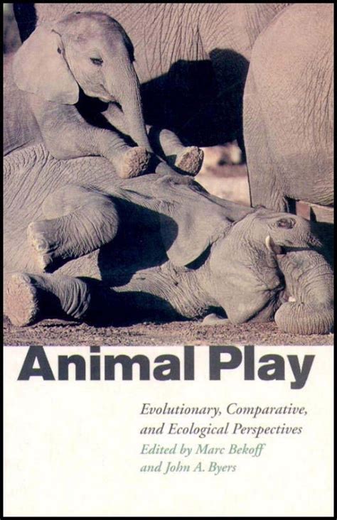Animal Play: Evolutionary, Comparative, and Ecological Perspectives ...