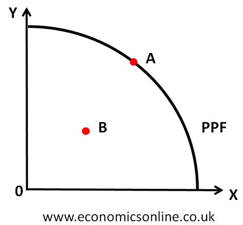 Productive Efficiency