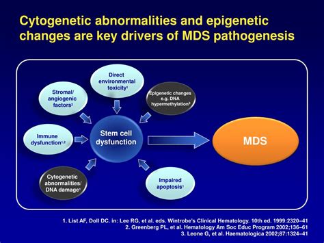 Ppt What Is Mds Powerpoint Presentation Free Download Id7001127