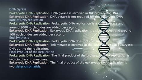Difference Between Prokaryotic And Eukaryotic Dna Replication Pptx