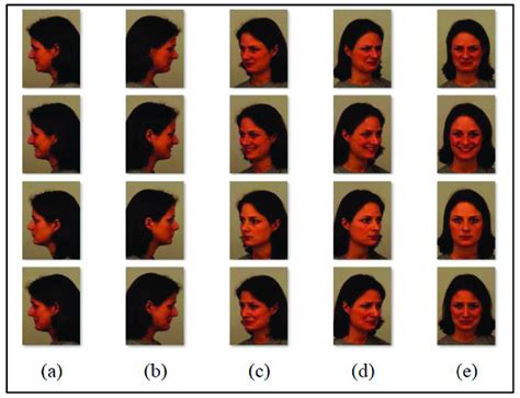 Samples Of Kdef Dataset With Different Facial Expressions From Download Scientific Diagram