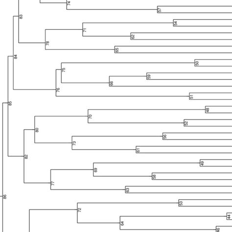 Noun Categorization Cluster Diagram Download Scientific Diagram