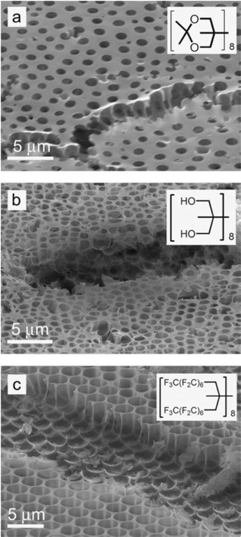 Honeycomb Like Films Fabricated With Various End Groups Based On