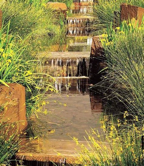 雨水花园 · 海绵城市的“颜值担当”！ 搜狐大视野 搜狐新闻