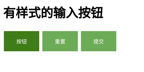 Css 基础学习 227 Css有样式的输入按钮 潮姿阁服装店