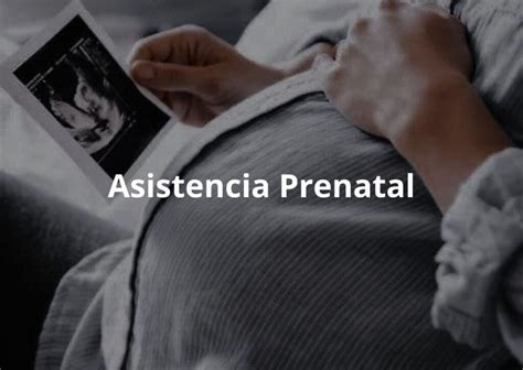 Programas Ars Abel González