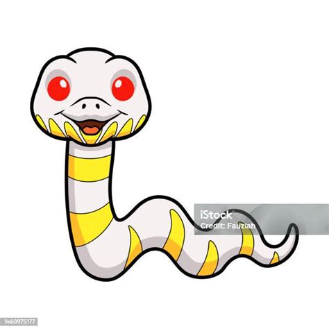 귀여운 흰둥이 맹그로브 뱀 만화 귀여운에 대한 스톡 벡터 아트 및 기타 이미지 귀여운 그물무늬비단뱀 금색 Istock