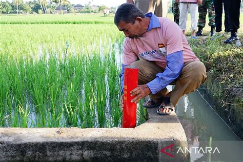 Kementerian ATR BPN Pasang Patok Batas Bidang Tanah Di Aceh ANTARA News