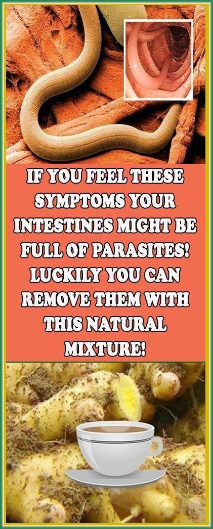 If You Feel These Symptoms Your Intestines Might Be Full Of Parasites