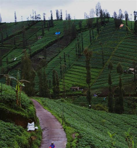 Vibes Kayak Di Eropa Ini 5 Wisata Malang Yang Banyak Spot Instagramable