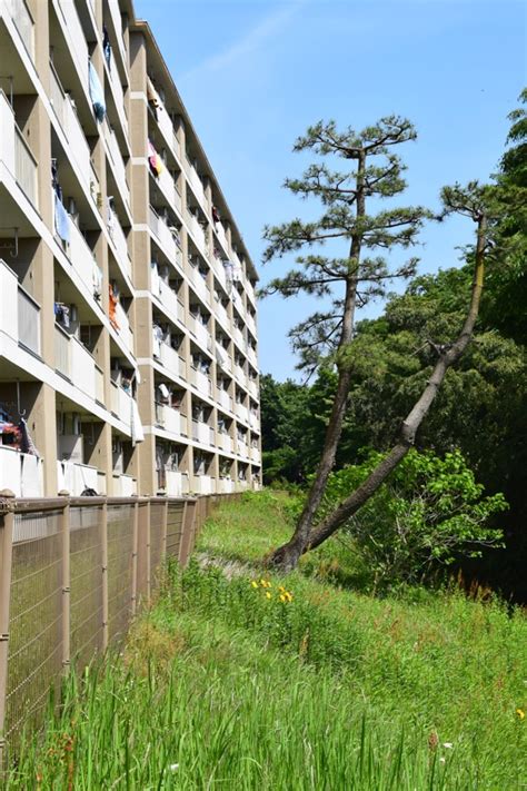 公団下大槻団地