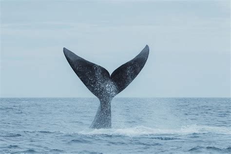 12 Fotos De La Ruta Del Mar Patagónico En La Argentina Infobae