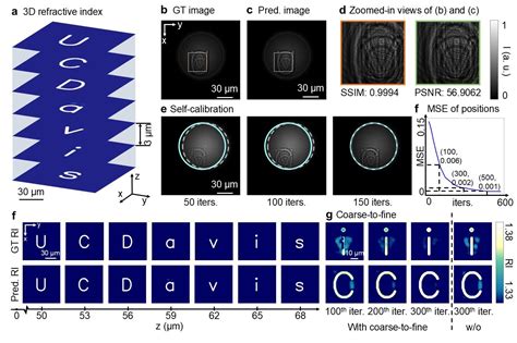 Fluorescence Diffraction Tomography Using Explicit Neural Fields