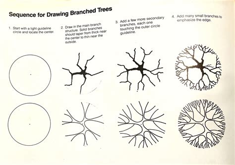 Architecture Sketch With Branches