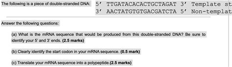 Solved A What Is The MRNA Sequence That Would Be Produced Chegg Com