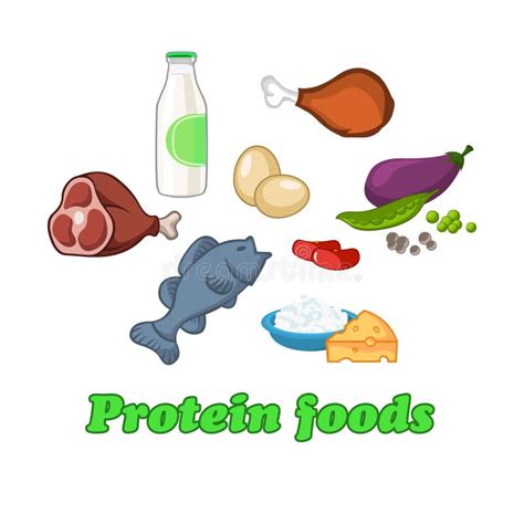 Healthy Food Set Stock Vector Illustration Of Natural 66756810
