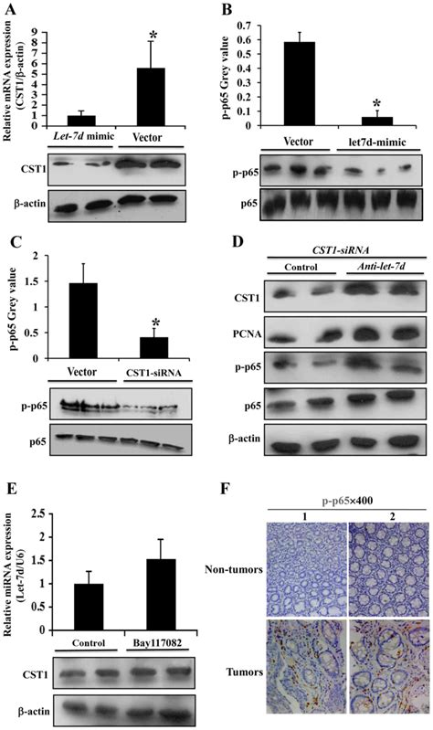 Let‑7d Inhibits Colorectal Cancer Cell Proliferation Through The Cst1