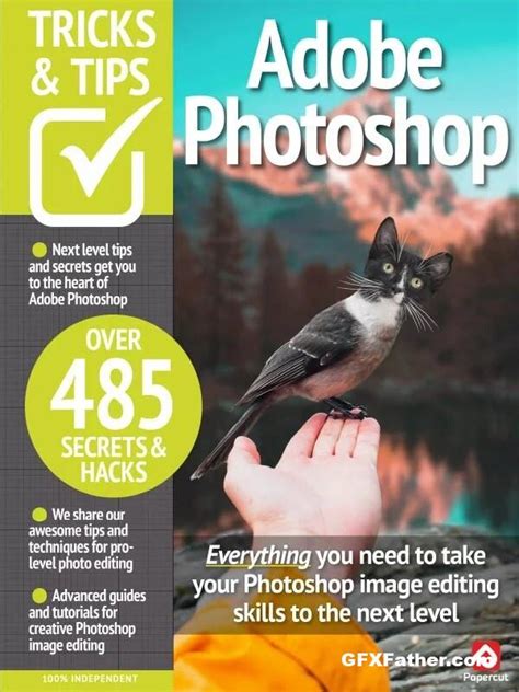 Adobe Photoshop Tricks And Tips 21th Edition 2025 Pdf Gfxfather