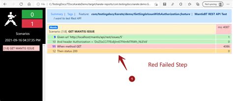 Karate Api Automation Reports Testingdocs
