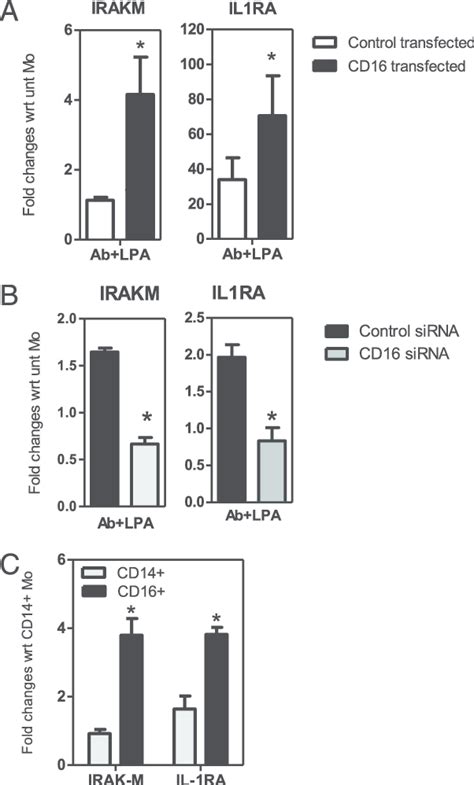 Cd16 Induces The Expression Of Negative Regulators Of The Download