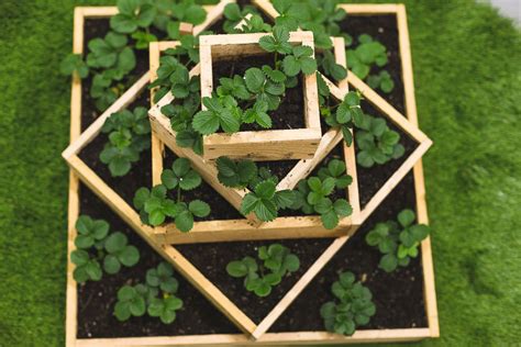 Strawberry Planters Diy