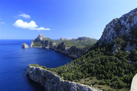 10 Cosas Que Ver Y Hacer En Mallorca En Febrero Hellotickets