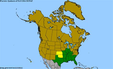 2013 Bonap North American Plant Atlas Taxonmaps