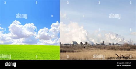 Forest Air Pollution Before And After These 5 Images Show How Air