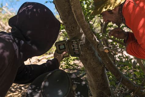 Siguiendo Las Huellas Del Huemul En La Jungla Peumayén Lugar Es Clave