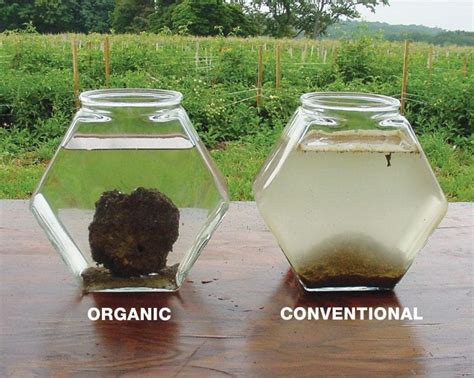 Urban Composting A Complete Guide