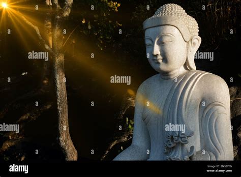 White Meditating Buddha Statue Sits On The Rock Pile Among Forest Trees