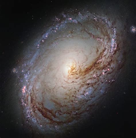 Nasa