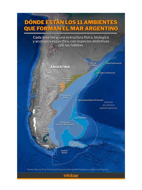 Alerta En El Mar Argentino Cuáles Son Sus Especies Que Están