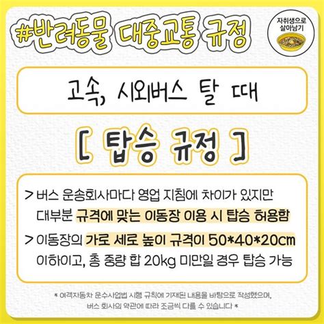 대중교통 종류별 반려동물 동반 탑승규정 총정리 인스티즈instiz 이슈 카테고리