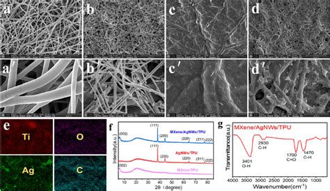Sem Image Of A A Pure Tpu Fiber Membrane B B Agnws Tpu C Download Scientific Diagram