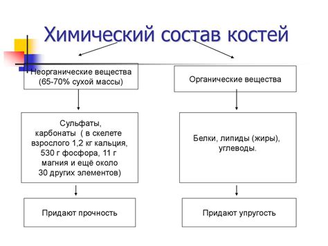 Значение опорно двигательной системы ее состав Строение костей Online Presentation