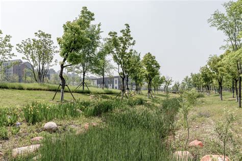 The Fivefold Park For Airport International Town Hefei Landezine